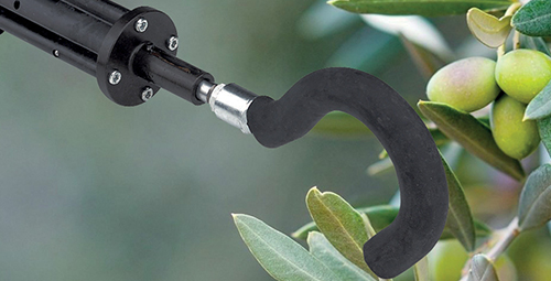 Olive shakers: what are they and how do they work? | Campagnola