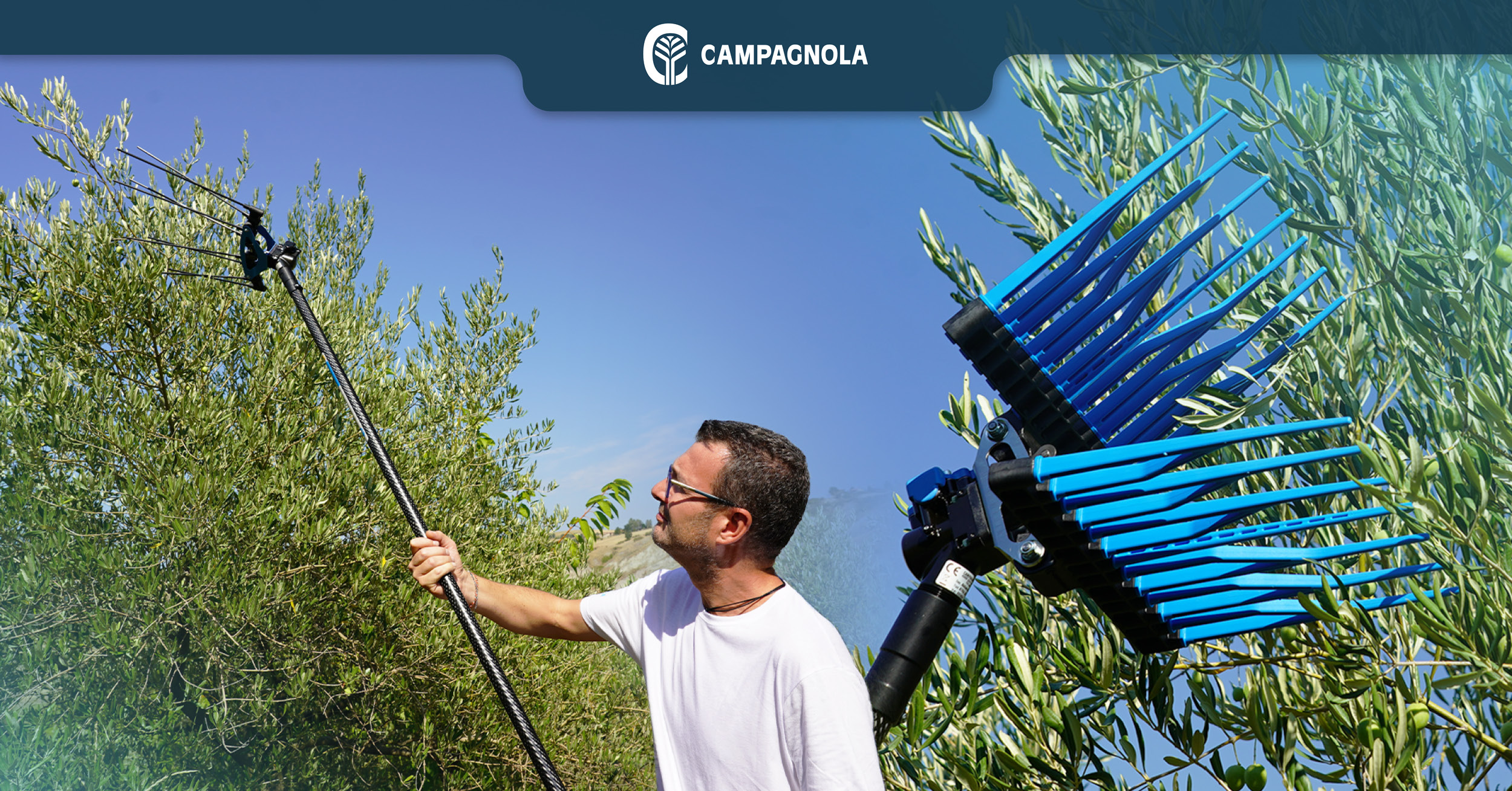 How can you choose the right olive harvester?